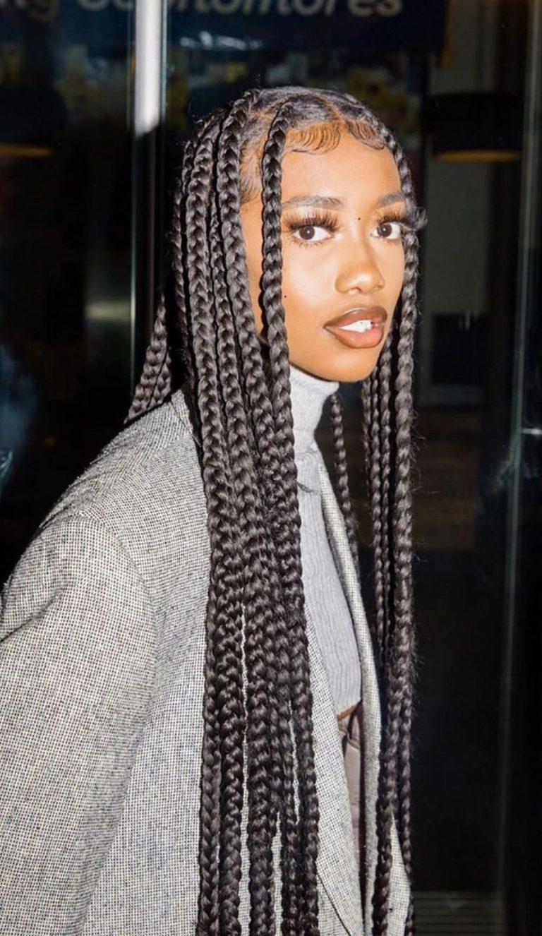155 Box Braids Hairstyles For Women To Try In 2024 Explore Trending