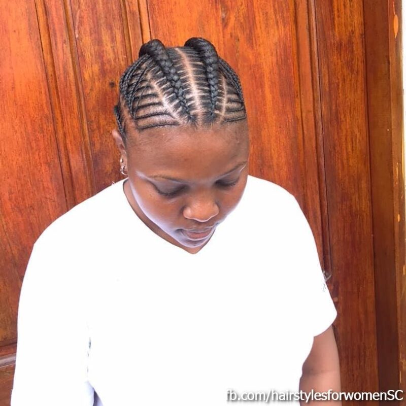 80 Photos: Cornrow Rasta Hairstyles – African Braided Hairstyles ...