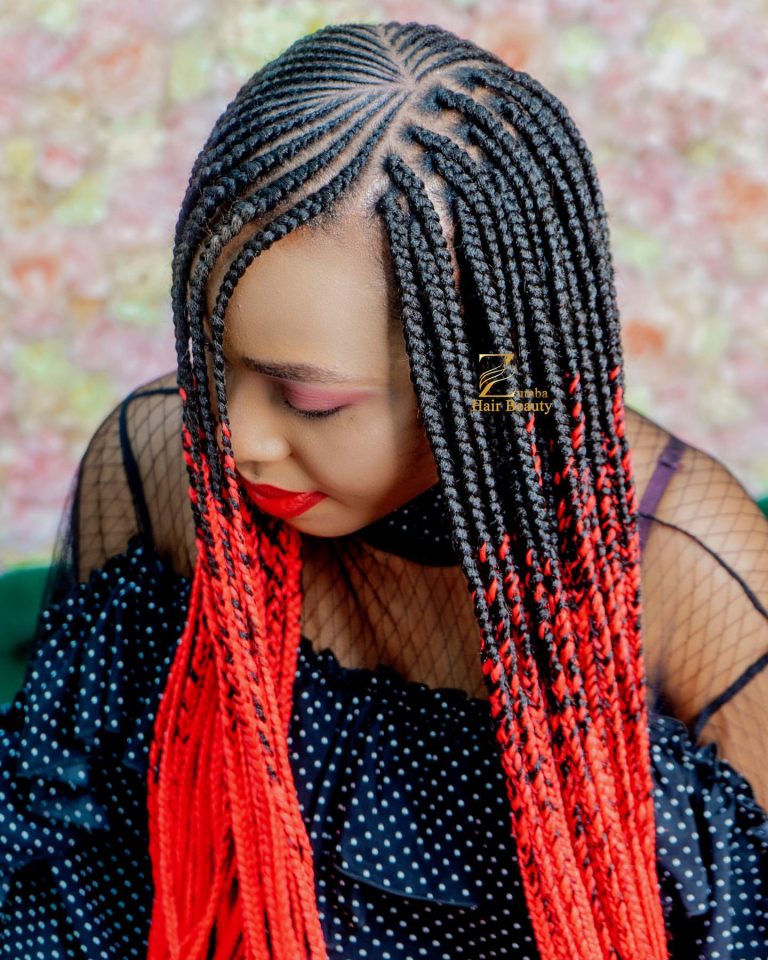 [GALLERY] – 37+ Cool Braided Hairstyles For Women To Try In 2024 +HWB ...