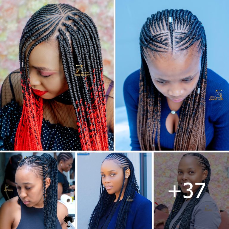 [GALLERY] 30 Braided Hairstyles 2024 Pictures (30) – Explore Trending